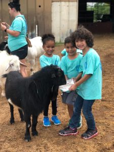 Photo Gallery - Steadfast Academy